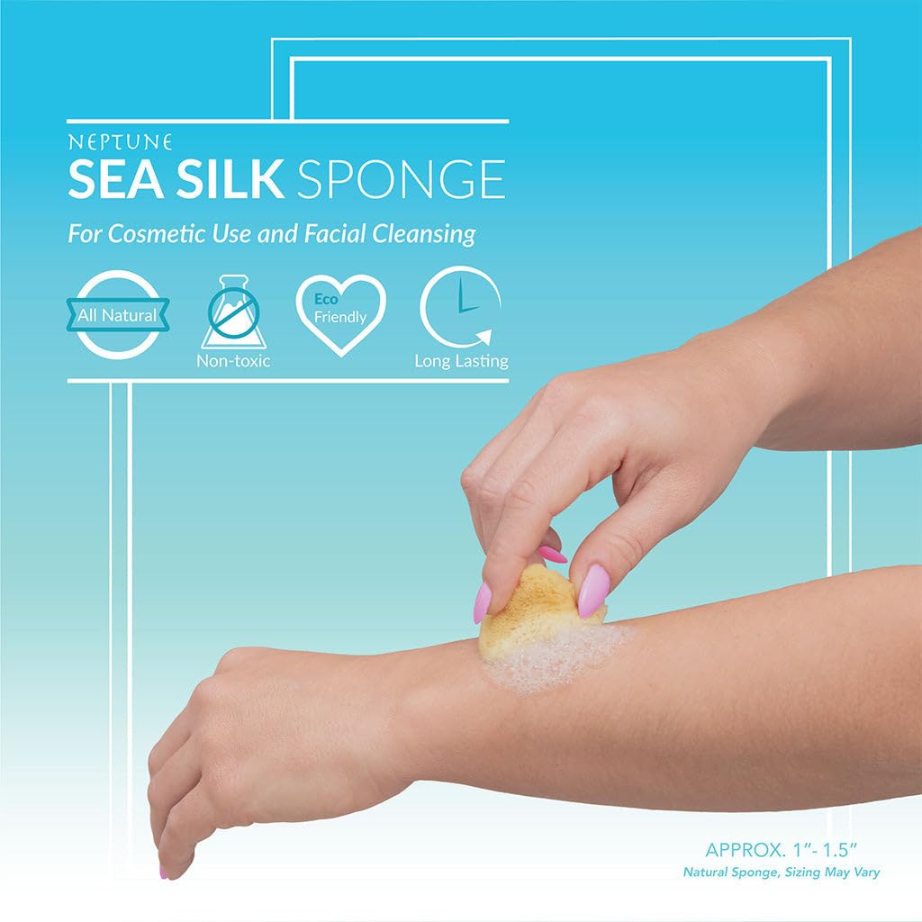 Neptune Natural Sea Soft Silk Sponge - for Cosmetic Use, Art, Facial Cleansing 12pk, 1-1.5 inches