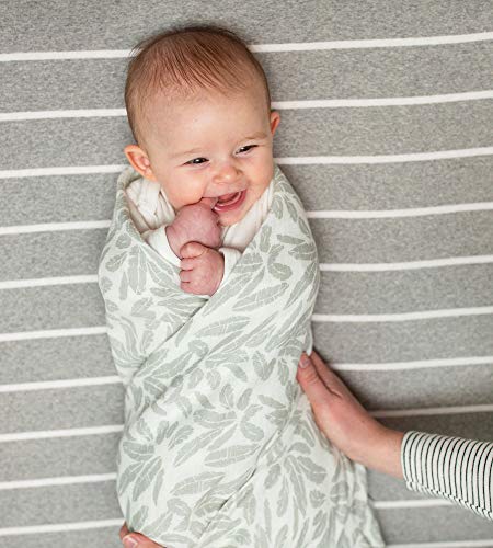 Burt's Bees Baby - HM25785 - Swaddles, Muslin Cotton Baby Blankets, 3-Pack, 47" x 47", Multipurpose Lightweight & Breathable 100% Organic Cotton (Dottie Bee)