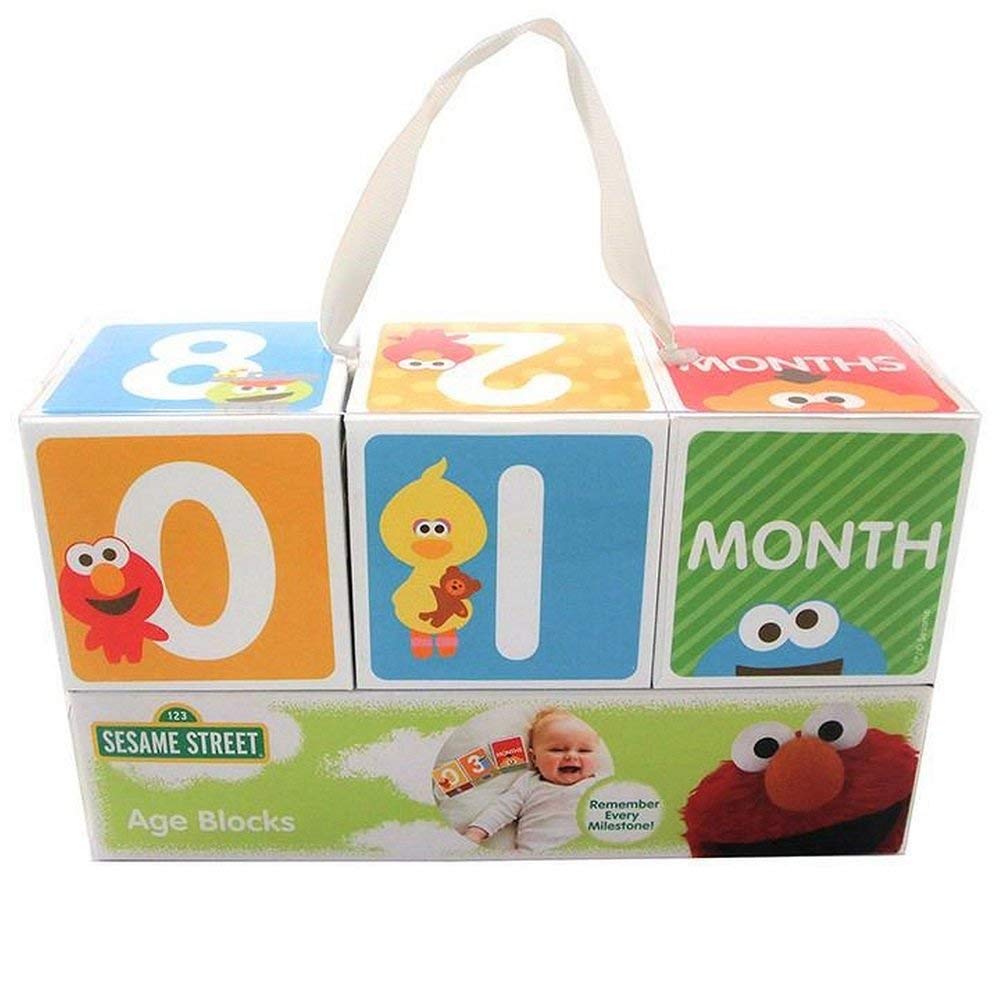 Sesame Street Photo Sharing Keepsake Age Blocks Newborn Baby Month Weeks Days Years