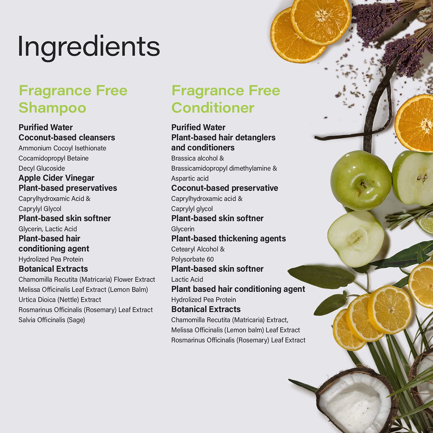 Phillip Adam Fragrance Free Shampoo and Conditioner Set with Apple Cider Vinegar - pH Balancing - Enhance Shine and Smoothness- 12 Ounce Each
