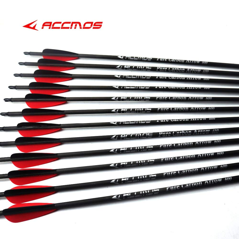 31" Arrows 800 Spine Arrows for Compound Bows ID 6.2 mm 28.5/29/30 Inch Replaceable Tip Carbon Arrow for 10/15/20/25/30/35/40 Lbs Recurve Bow Longbow Archery Hunting Target Practice