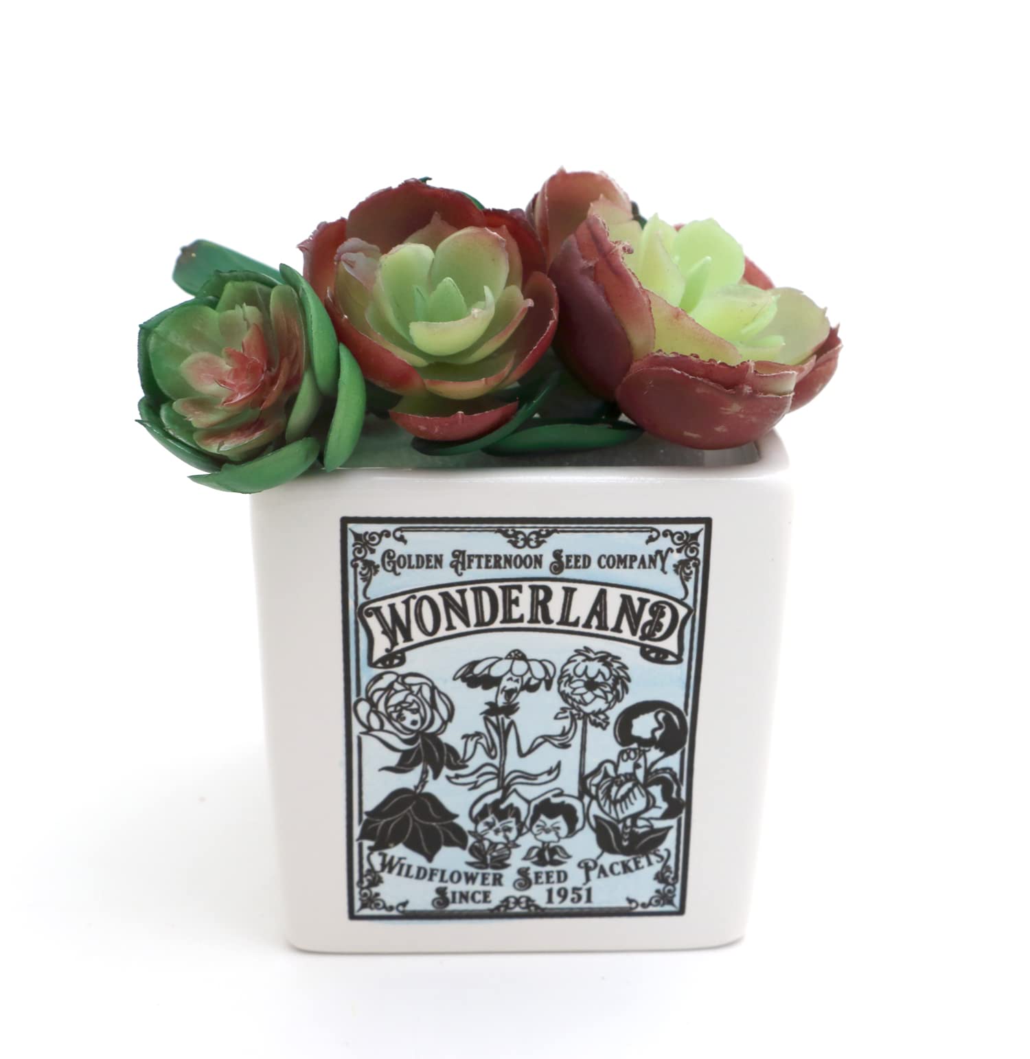 Alice's Adventures in Wonderland, indoor planter, container, Lennymud by Lorrie Veasey