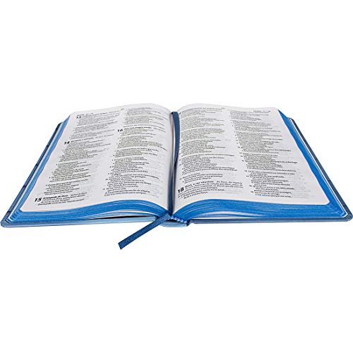 Bíblia Sagrada NTLH - Capa Âncora: Nova Tradução na Linguagem de Hoje (NTLH)