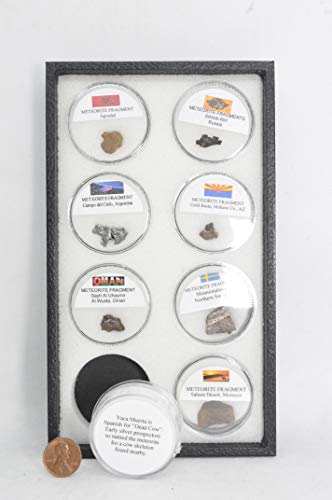 Space Collection 2020: Eight Meteorites Around The World, Mars Rock, Moon Rock