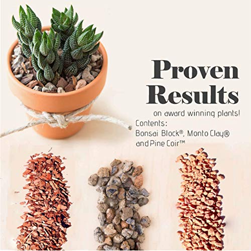 Bonsai Jack Succulent and Cactus Soil - Jacks Gritty Mix #111 - 2 Quarts β Fast Draining β Fight Root Rot β Optimized pH