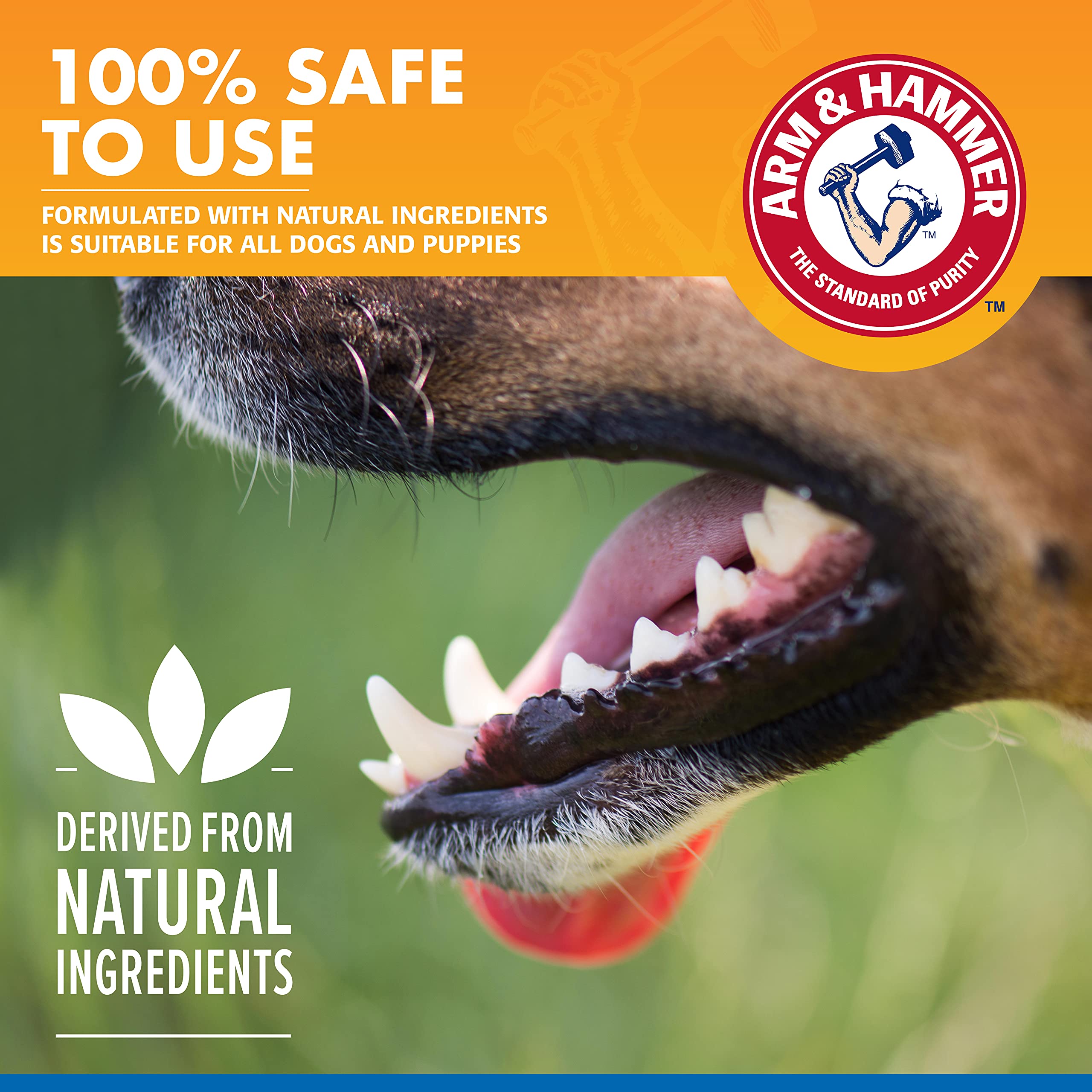 Arm & Hammer for Pets Combo Pack Dog Dental Tartar Control Water Additive and Fresh Breath Vanilla Ginger Enzymatic Toothpaste | Includes 16 Oz Dog Water Additive and 2.5 oz Dog Toothpaste