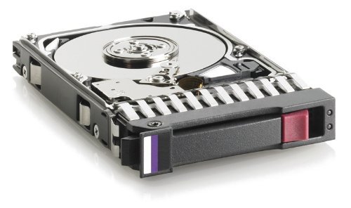 HP 697631-001 1.2TB 10000RPM SAS 6GBITS Dual Port 2.5INCH Hard Drive with Tray (Renewed)
