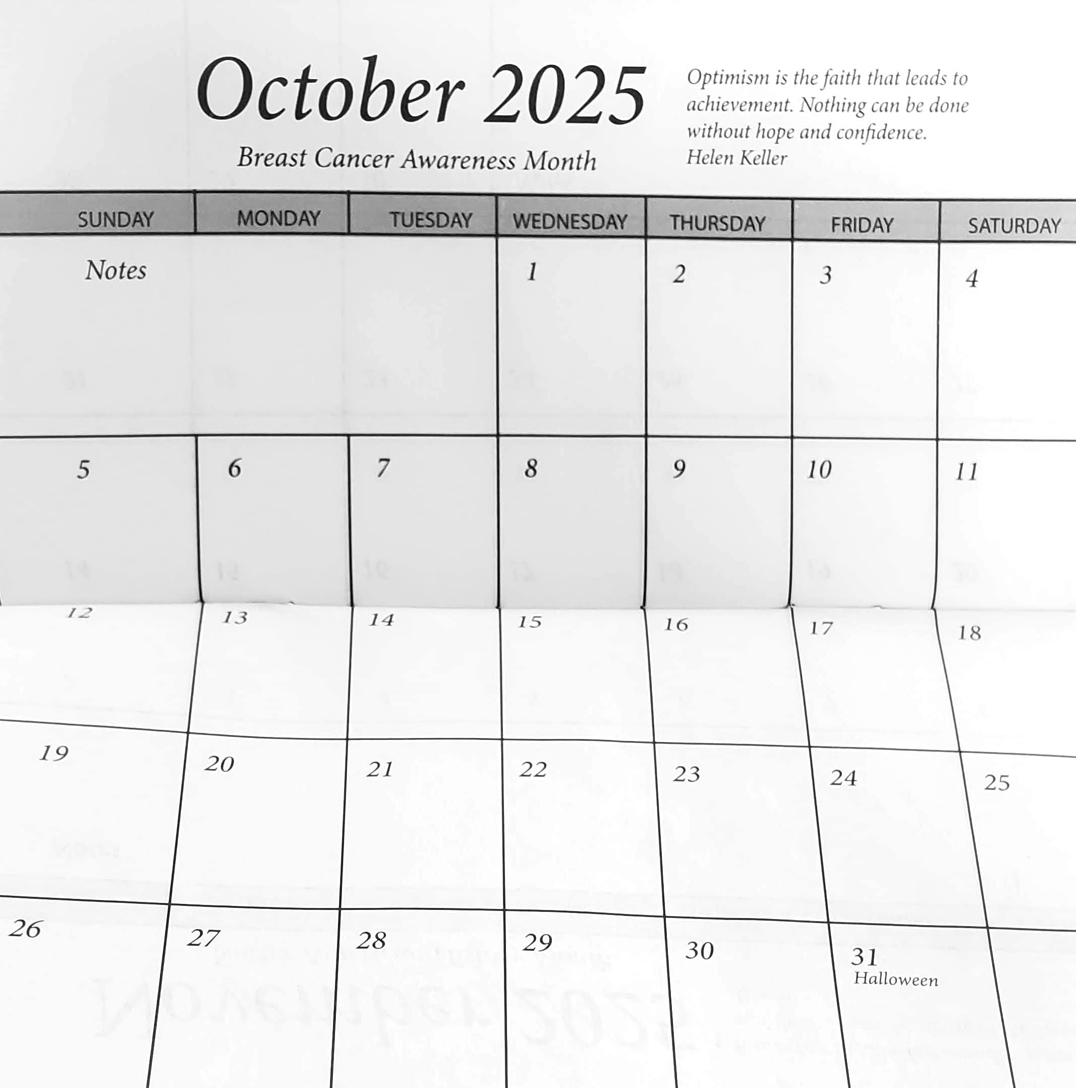 3 Year 2024 2025 2026 Pocket Calendar Planner with Note Pad (Whitetail Deer Field)