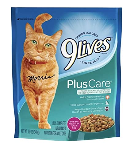 9Lives Cat Plus Care Dry Food 12oz #13291, 12 Ounce (Pack of 1), Multicolored