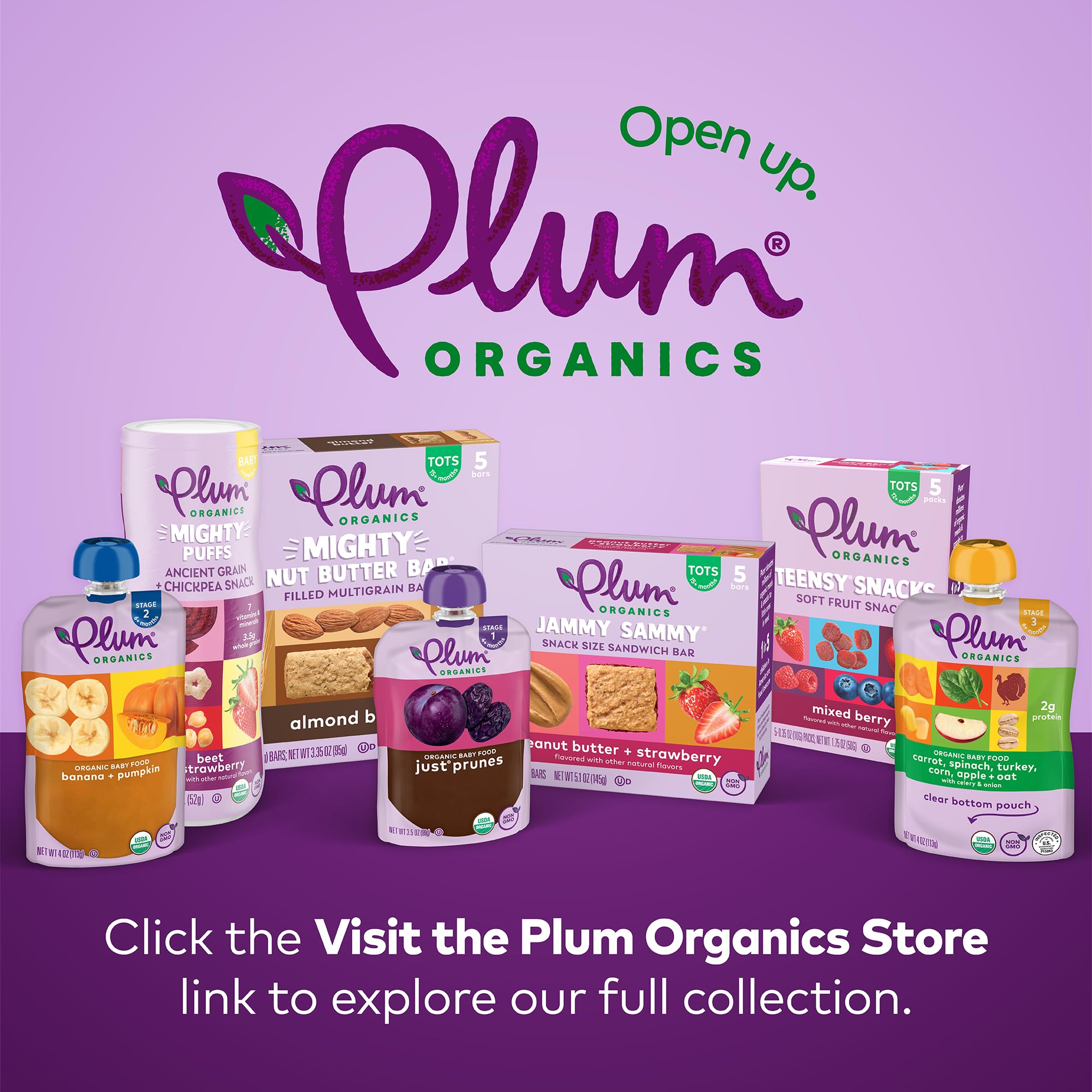 Plum Organics Mighty Morning Bars - Apple and Cinnamon - 0.67 oz Bars (Pack of 5) - Organic Toddler Food Multigrain Snack Bars