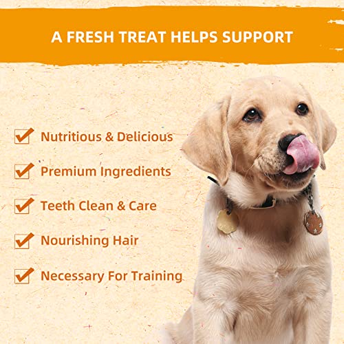 Jungle Calling Dog Treats Chicken Jerky Training Treats, Slow Roasted Snacks for Medium and Large Dogs Chewy Treats 10.6Ounce (Chicken Fillet)