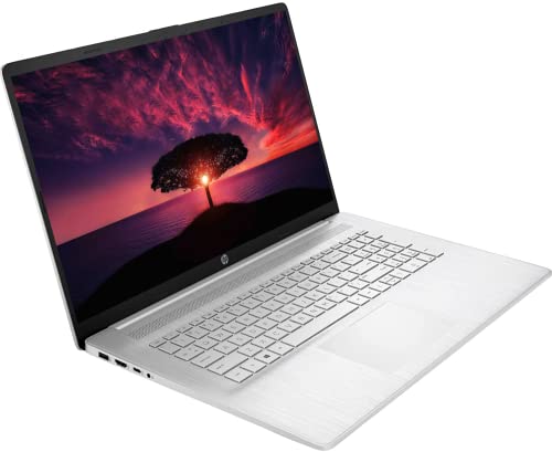 HP 17.3" HD Touchscreen Business Laptop, AMD Ryzen 5-5500U, Windows 11 Pro, 16GB RAM, 512GB SSD+1TB HDD, Numeric Keypad, HDMI, Wi-Fi, Bluetooth, Webcam, 32GB Durlyfish USB Card