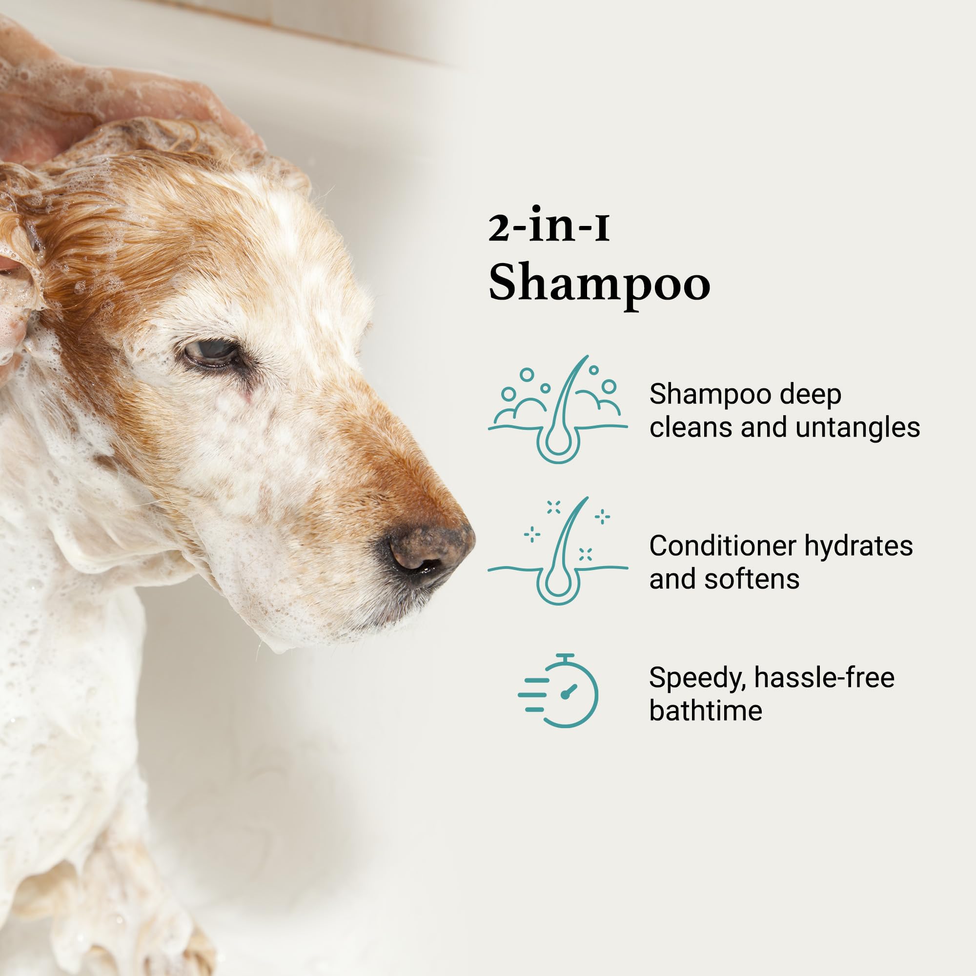 iGroom All-in-One Dog Shampoo + Conditioner, Luxury Pet Beauty Care, Deep Clean All Coat Types, Hydrate and Condition Coat, Made in The USA, 16 oz