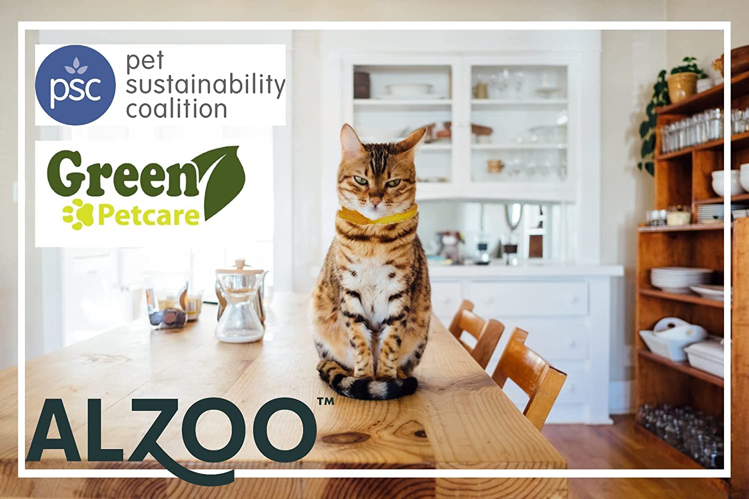 ALZOO Flea & Tick Cat Collar, Helps Repel Fleas, Ticks & Mosquitoes, 100% Plant-Based Active Ingredients, Phthalates and PVC Free, Up to 8 Months Protection, Pack of 2