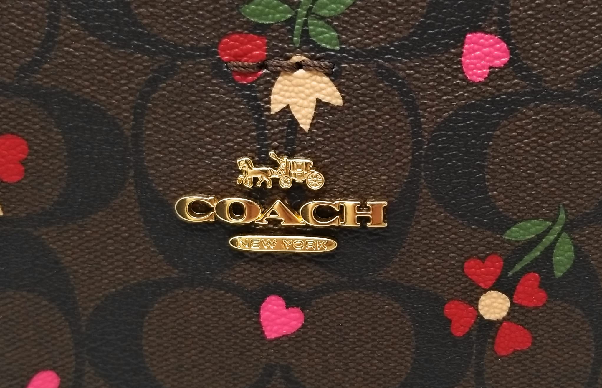 Coach Women's Small Town Bucket Bag (Signature Canvas - Heart Petal Print - Brown Multi)