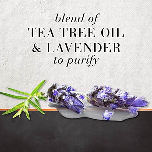 Hair Food Shampoo, Tea Tree & Lavender Water, 10.1 Oz (23174)