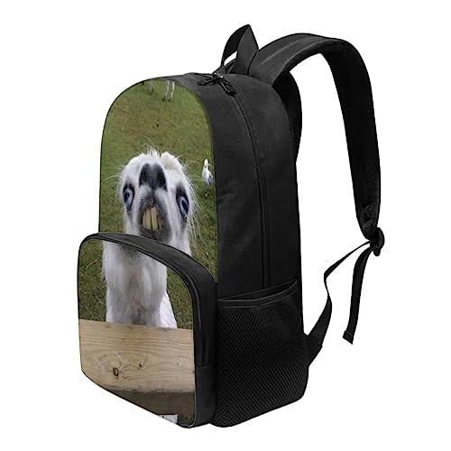 AmzPrint 17 Inch Funny Llama Backpack For Elementary Middle School Alpaca Backpack For Kids Child Back To School As Gift