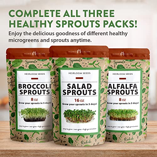Alfalfa Sprout Seeds for Sprouting and Microgreens (16oz) Premium USA Alfalfa Seeds Indoor or Outdoor Planting Sprouts | Non-GMO | Micro Greens Seed in Resealable Bag