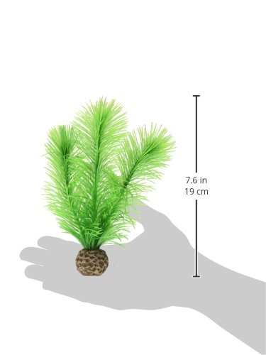 biOrb 46083.0 Feather Fern Set Small Green Aquariums