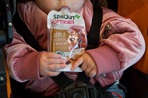 Sprout Organic Stage 2 Baby Food Pouches, Apple Oatmeal Raisin with Cinnamon, 3.5 Ounce (Pack of 6)