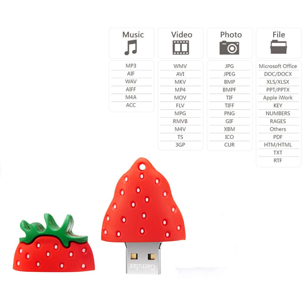 GARRULAX USB Flash Drive, 8GB / 16GB / 32GB Novelty Cute Cartoon USB Memory Stick Date Storage Pendrive Thumb Drives for Kids Children Collegue Student (32GB, Strawberry)