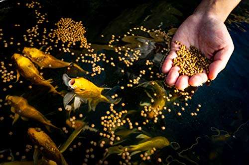 Blue Ridge Fish Food [4.5lb], Platinum Professional Formula 3/16" Floating Pellet, Koi and Goldfish
