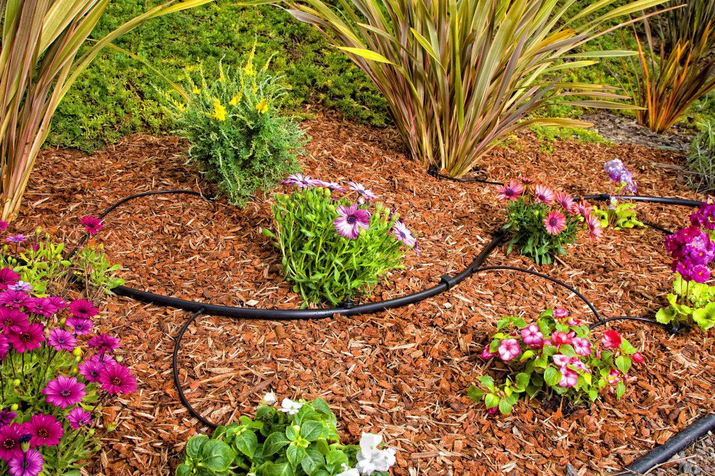 Gardener's Poly Tubing (1/2"-inch) .600 ID x .700 OD - Irrigation, Hydroponics, Growing - Water Distribution Tube (100 Foot Roll)