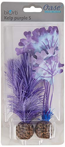 biOrb 46079.0 Kelp Set Small Purple Aquariums, 2 Piece Set