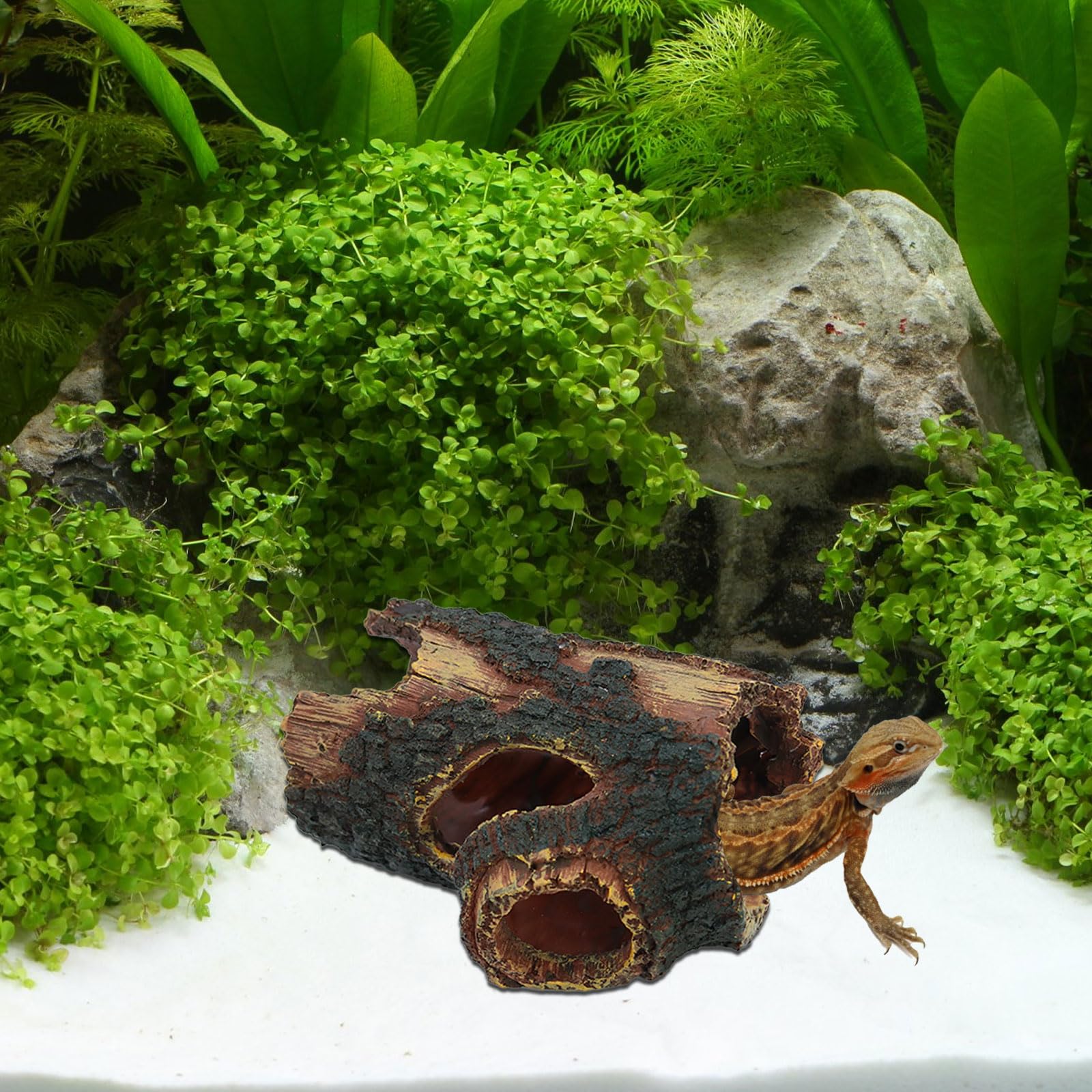 Dexspoeny 3Pcs Reptile Hide Cave Small Lizard Reptile Food&Water Bearded Dragon Bowls Accessories,Natural Resin Hollow Tree Trunk Hideout,Hermit Crab Supplies Trunk Snake Gecko Frogs Fish Tanks Decor