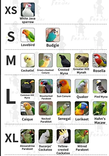 Bird Flight Suits Diapers, Parrot Flight Suits Diapers for Rosellas, Cockatiels Flight Suits, Parrot Clothes, Bird Training Nappy Suit Liners Clothes (Medium)