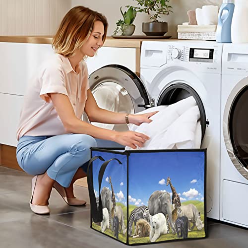 Blueangle Wild Animals Group Cube Storage Bin with Handles, 13 x 13 x 13 in, Large Collapsible Organizer Storage Basket for Home Décor(507)