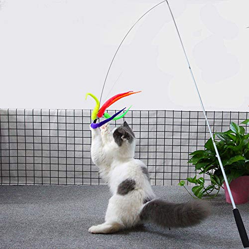 M JJYPET Cat Wand Toy Replacement Refill,10 Packs Cat Worm Toy,Assorted Teaser Refills with Bell for Cat,Kitten