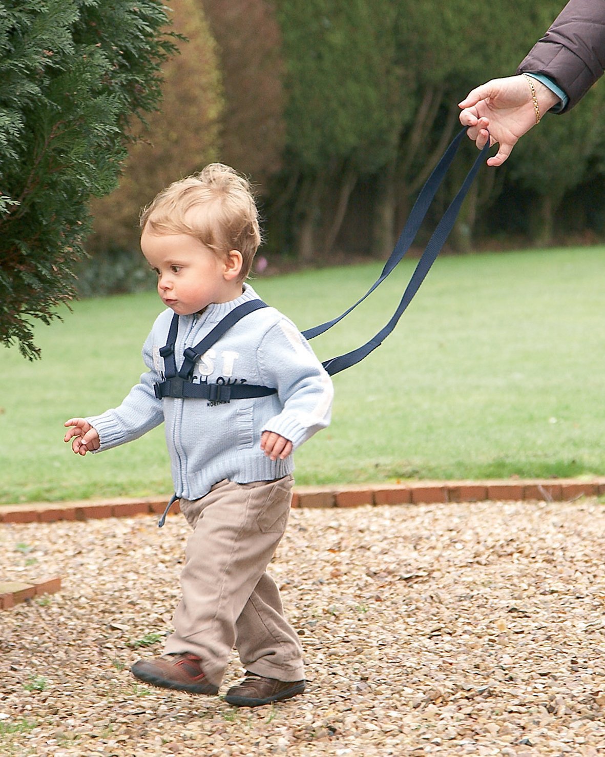 Clippasafe Walking Harness and Reins (Navy)