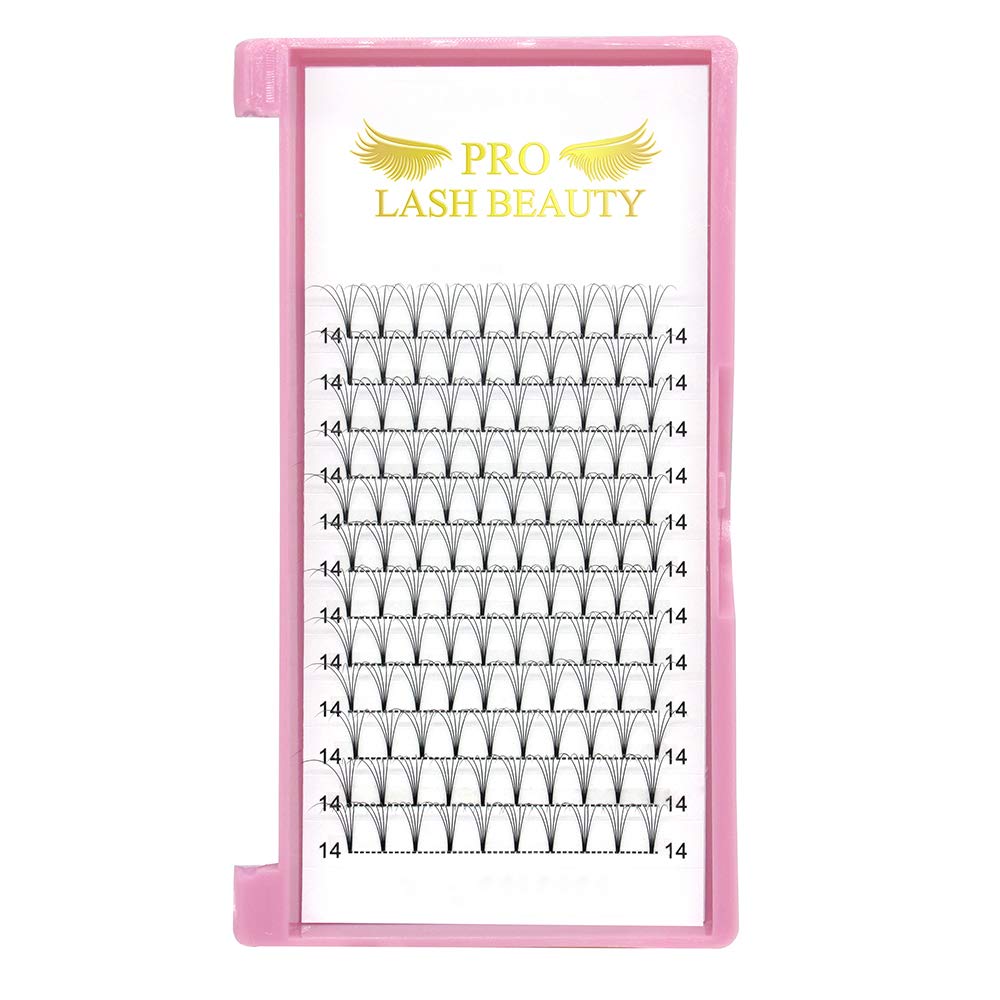 Premade Fans Eyelash Extensions 5D 3D 7D 8D 10D Short Stem Premade Volume Eyelash Extensions 3D 5D 7D Volume Lash Extensions .07 .10 Pre made Lash Fans C D Curl 9-15 MIX(5D-D-0.10,9-15mm)