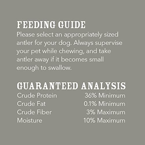 Amazon Brand – Wag Split Elk Antler, Naturally Shed, Medium 6–7.5 inches