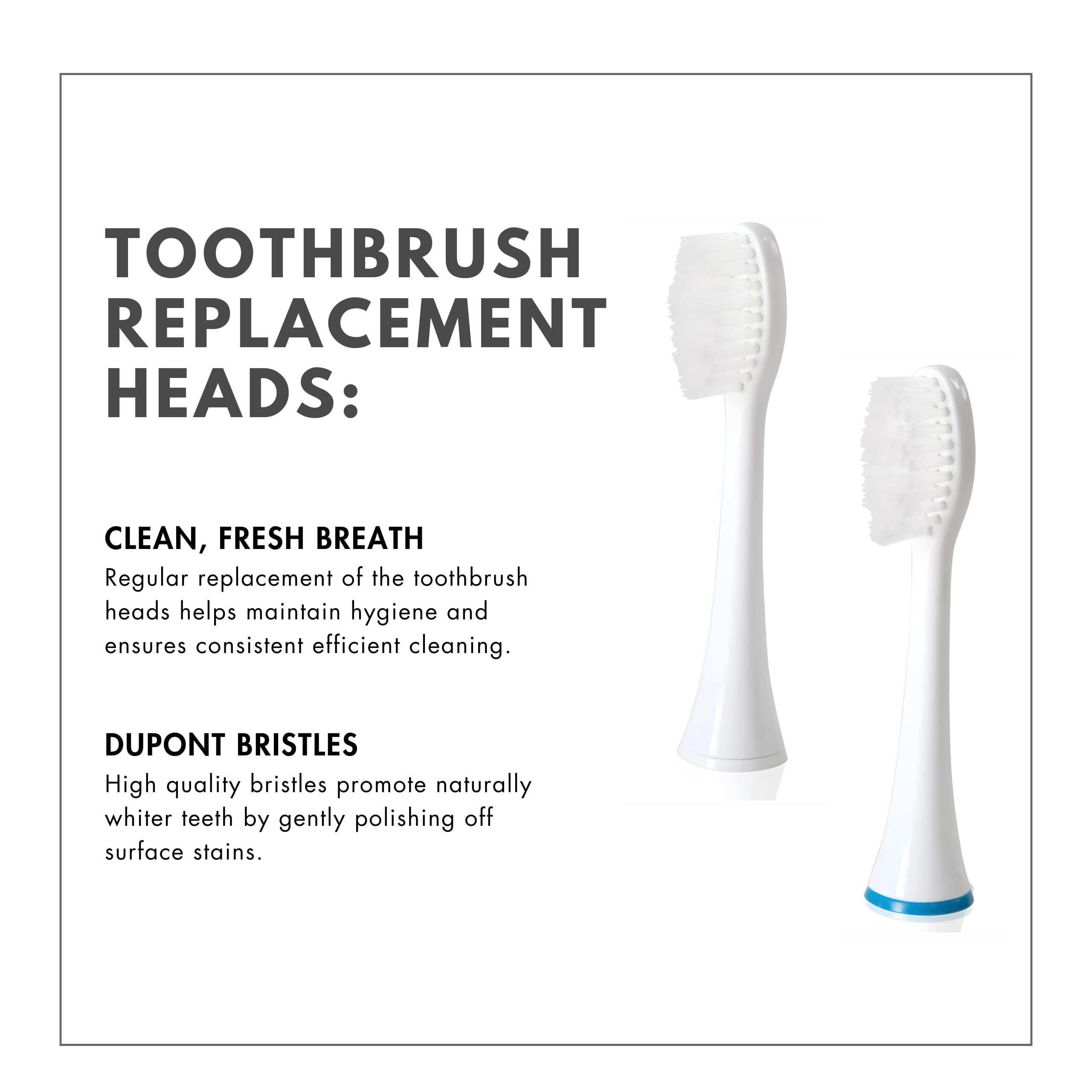 ToiletTree Products Poseidon Replacement Brush Heads for Poseidon Rechargeable Sonic Toothbrush, 8 Pack