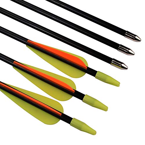 28'' Fiberglass Arrows Archery Target Arrow Practice Shooting Practice Target for Professional Youth Archery Recurve Bow Shooter(Pack of 12)