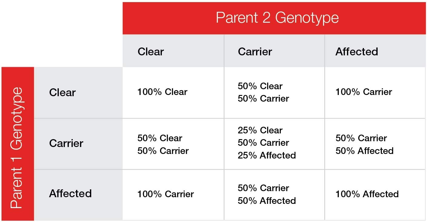 AffinityDNA Dog Multidrug Resistance 1 (MDR1) DNA Test Kit | Home Sample Collection Kit for 1 Canine | Puppy MDR1 Testing Kits | Results in 7 Working Days | A Complete Kit with No Extra Fees
