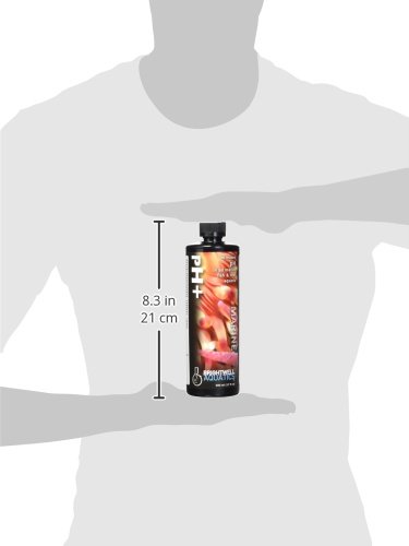 Brightwell Aquatics pH+, pH Increaser for All Marine and Freshwater Aquariums - 500 ml