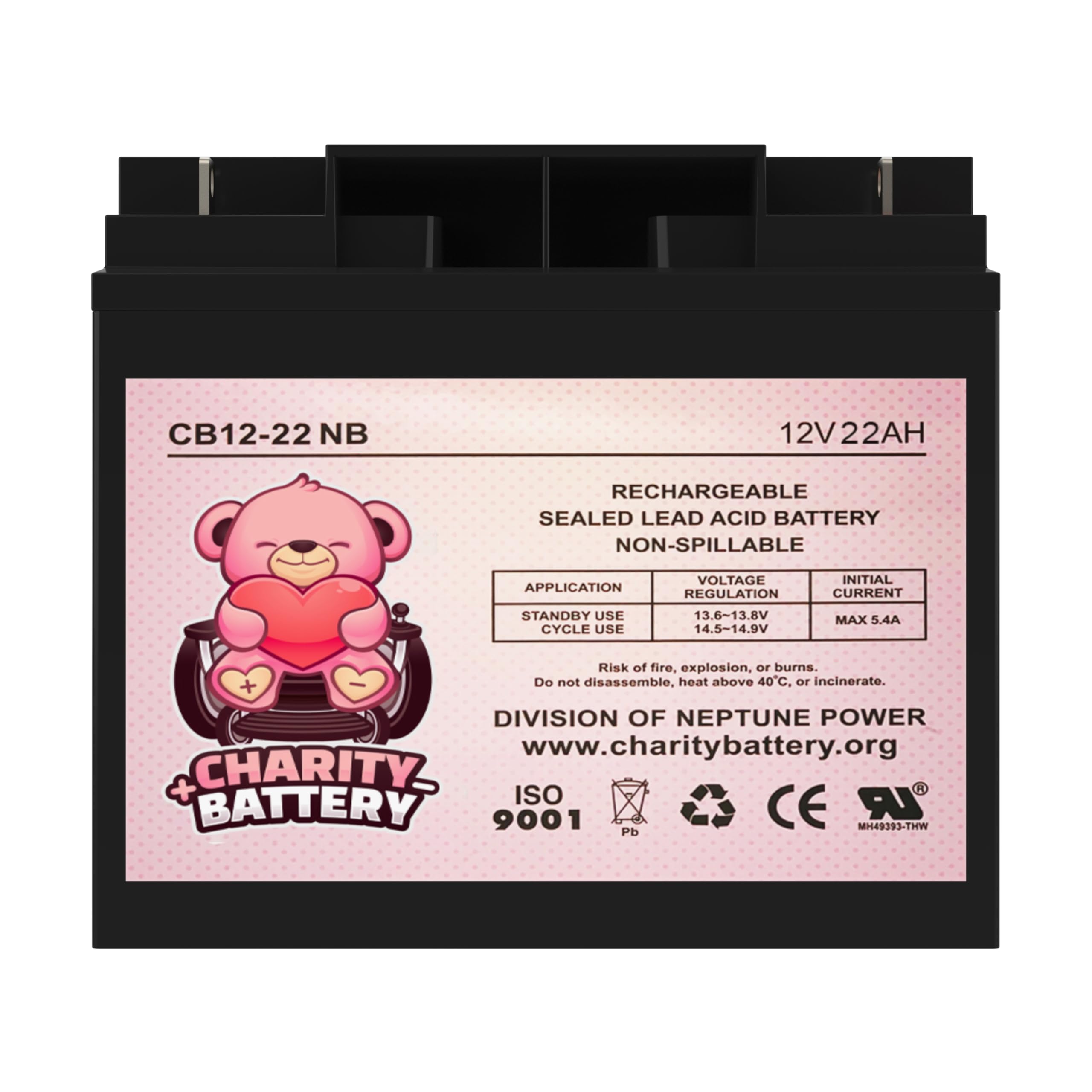 Charity Battery CB12-22 12V 22Ah Rechargeable SLA Battery Replacement for UB12180 FM12180 6fm18