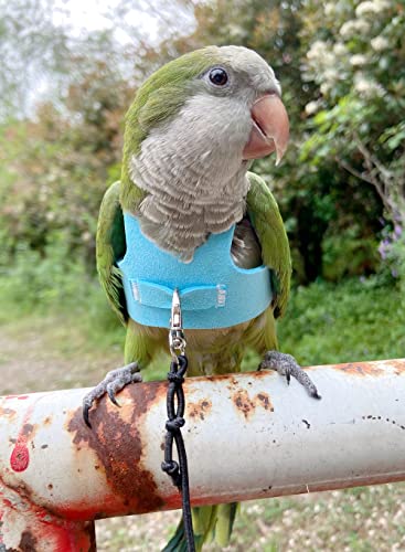 Bird Flight Harness Vest, Parrot Flight Suit with Leash for Parakeets Cockatiels Conures Budgies, Bird Flying Clothes with Rope and Handle for Outdoor Activities Training, Anti Bite (M, Blue)