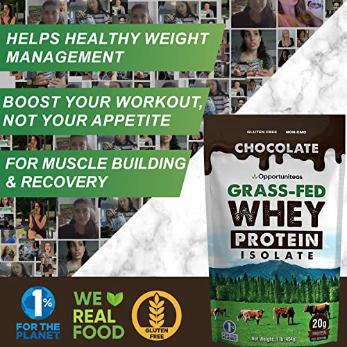 Chocolate Whey Protein Powder - Grass Fed Whey Isolate + Organic Cacao + Real Sugar + Himalayan Salt - Delicious Taste for Shakes, Smoothies, Cooking & Baking Recipes - Gluten Free & Non GMO - 1 Pound