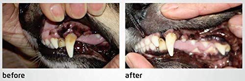 Emmi-pet Ultrasound Bristle-Head Attachments (2 Small Size)