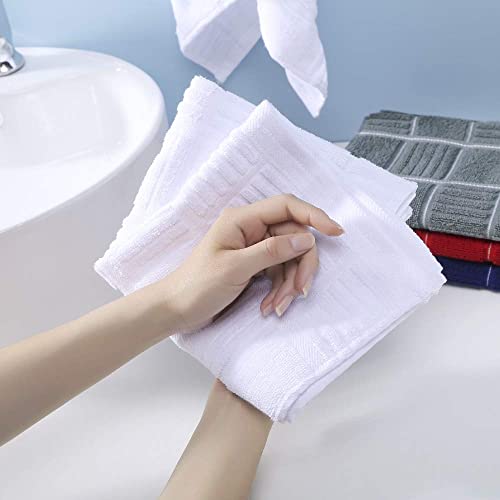 Anyi Kitchen Dish Towels Heavy Duty Absorbent Dish Cloths with Hanging Loop 100% Cotton Tea Bar Towels (16x26, Set of 3, White)