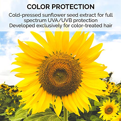 ColorProof Color Care Authority SuperPlump Thickening Blow Dry Spray, 5.1 Fl Oz (Pack of 1)