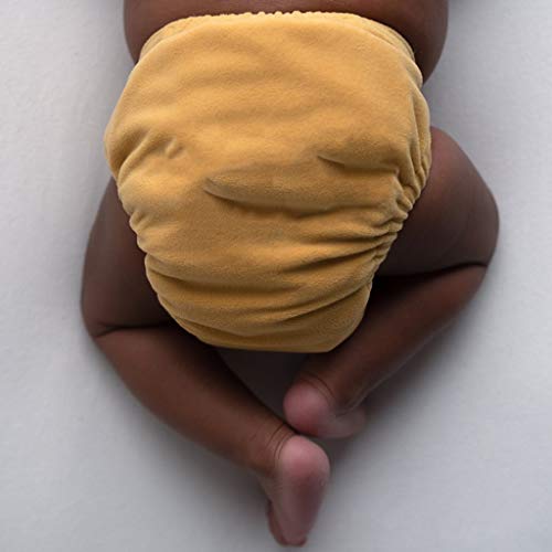 GroVia Buttah O.N.E. Reusable Baby Cloth Diaper (Yarrow)