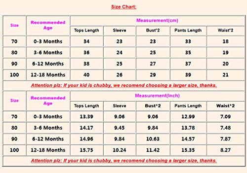 Rarjuiey 3Pcs Newborn Baby Boy Girl Elephant Outfits Long Sleeve Little Peanut Romper Bodysuit+Pants+Hat