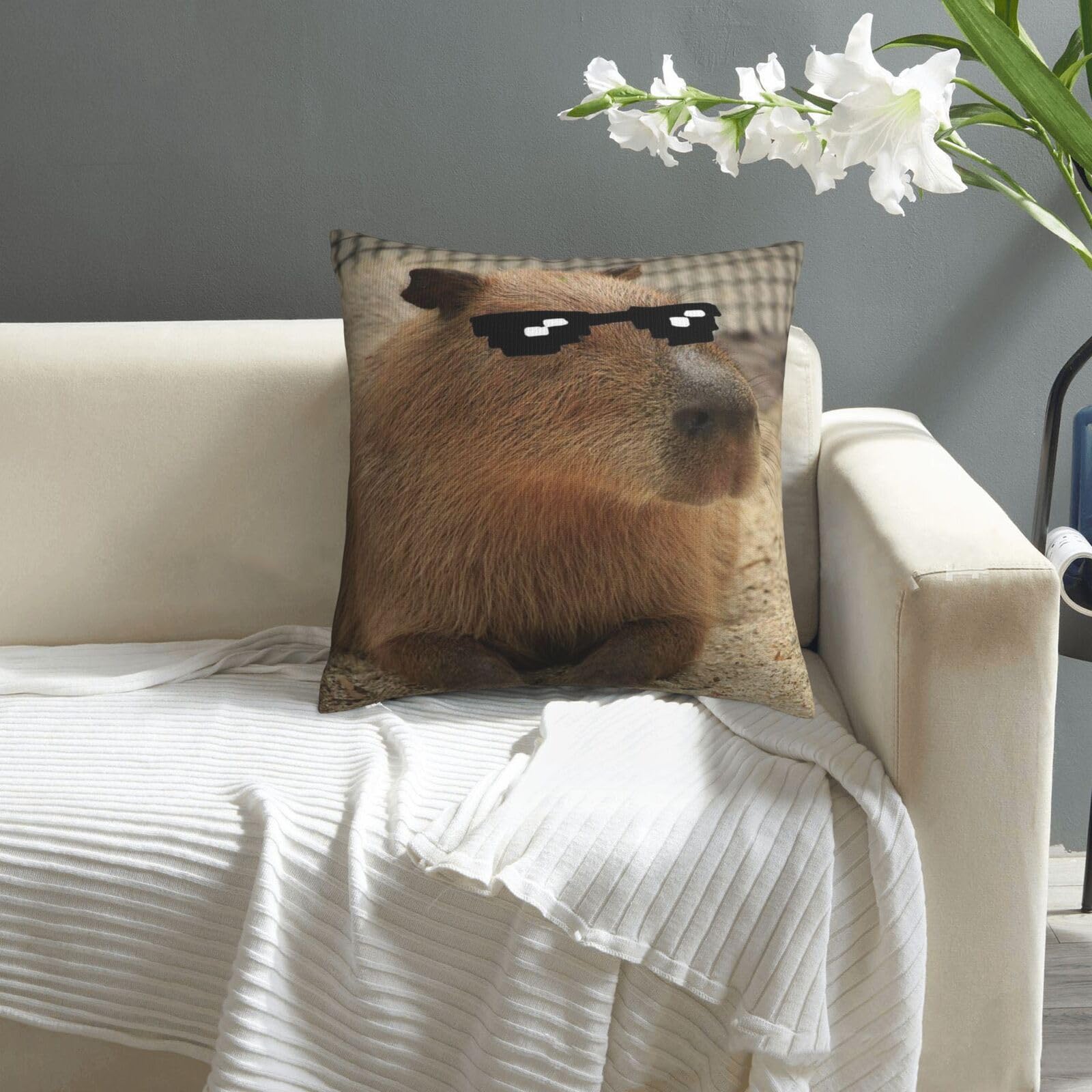 Funny Capybara Funny Meme Animal Throw Pillow Covers Novelty Square Pillow case Home Decorative Bedroom Couch Sofa Cushion case 18x18 in