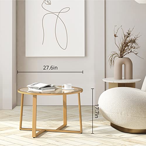 Evajoy Round Glass Coffee Table, 27.6" Gold Coffee Table with Tempered Clear Glass Surface for Living Room, Simple & Modern Center Circle Coffee Table for Small Space, Easy Assembly
