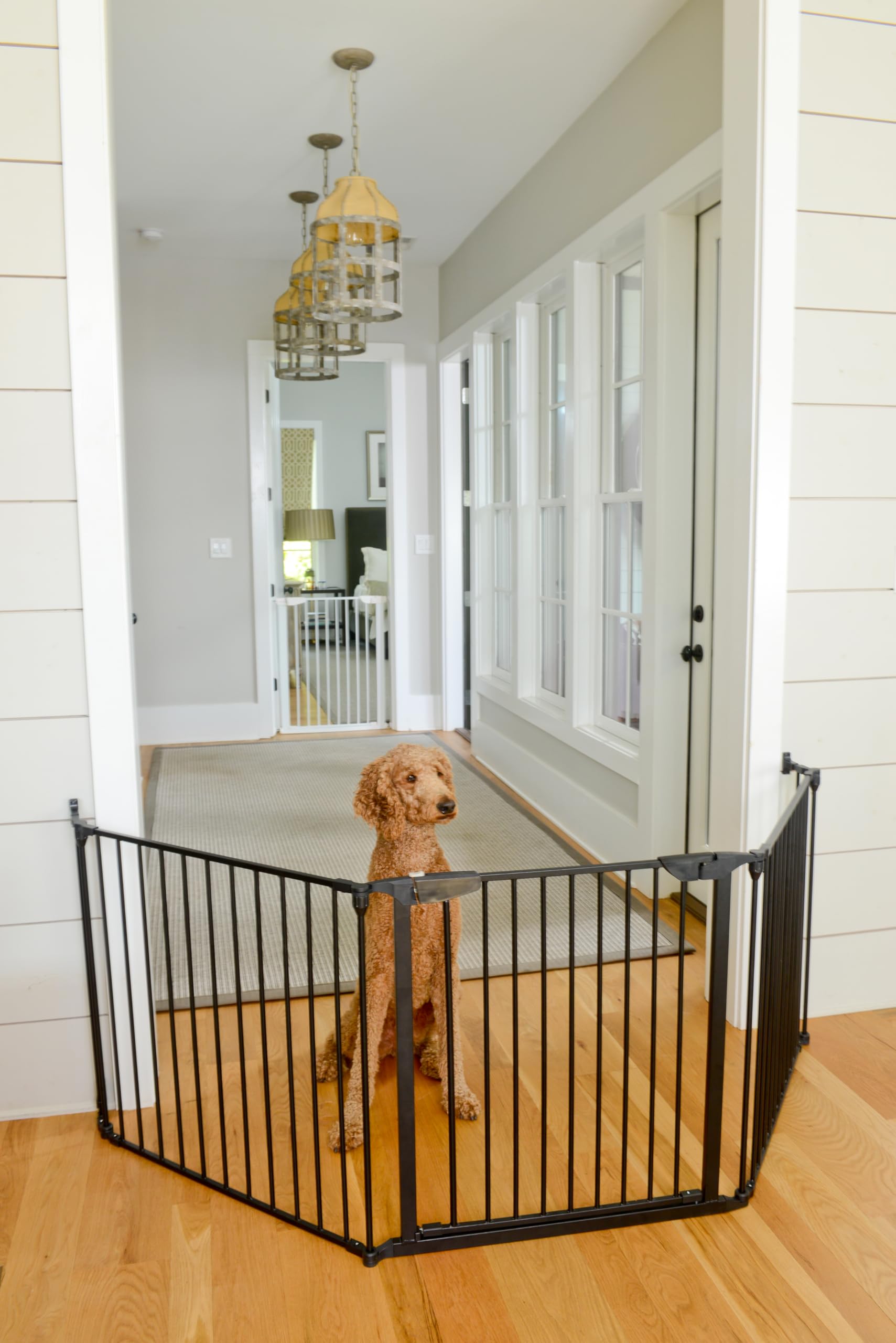Cardinal Gates EX100 XpandaGate Expandable Baby Gate - Extra Wide Dog Gate - Adjustable Safety Gate for Kids & Pets - 30 to 90 Inches Wide - Black